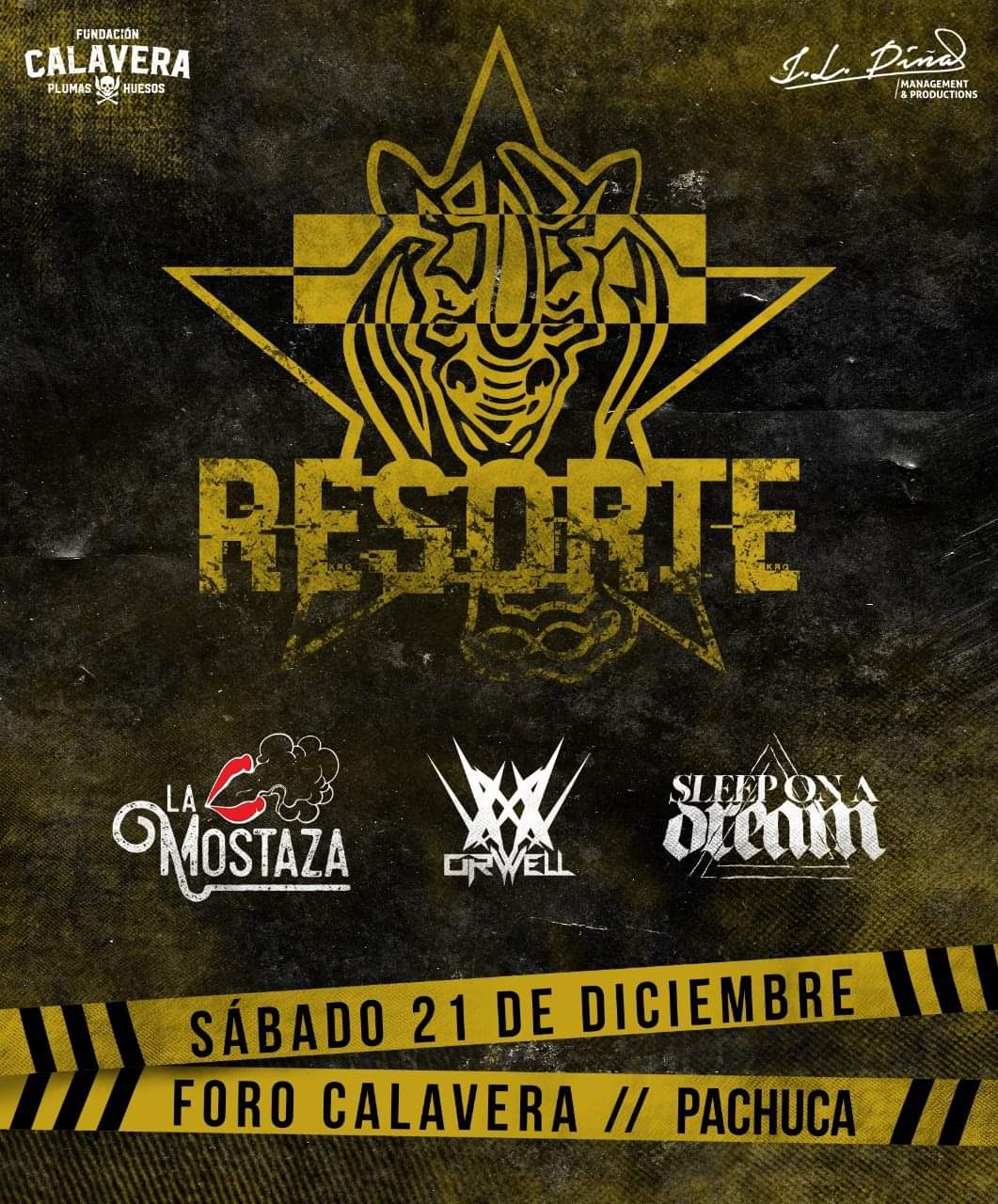 La banda Resorte regresa a Pachuca - Mira Hidalgo