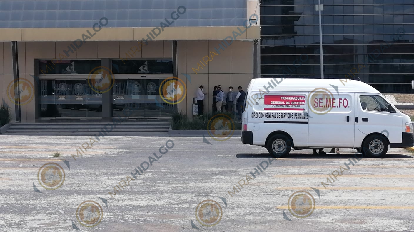 Un animal, causante de daños en el Congreso de Hidalgo - Mira Hidalgo Un animal, causante de daños en el Congreso de Hidalgo - Mira Hidalgo